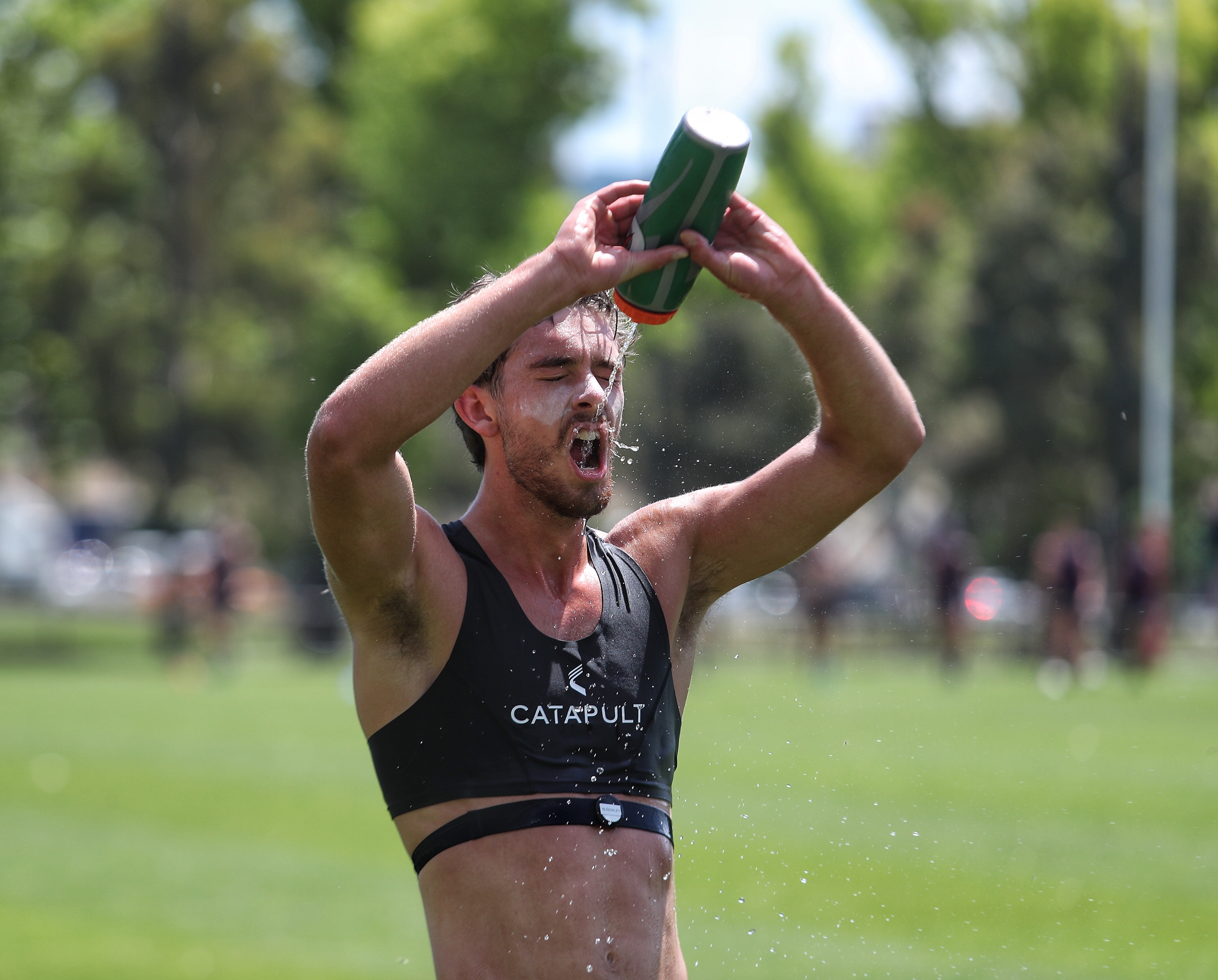 Training Gallery: November 25