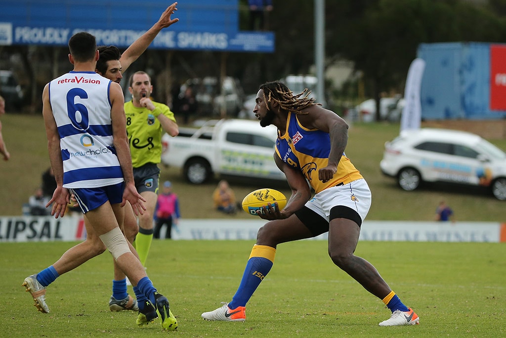 Nic Nat super impressive in WAFL, primed for AFL return