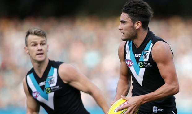 Wingard and Gray named in All-Australian team for the second time