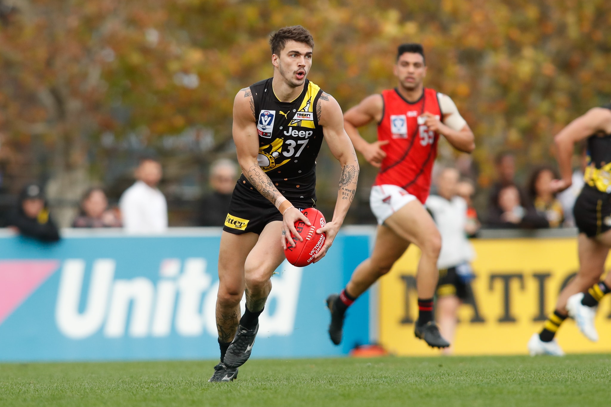 VFL Report: Round 8