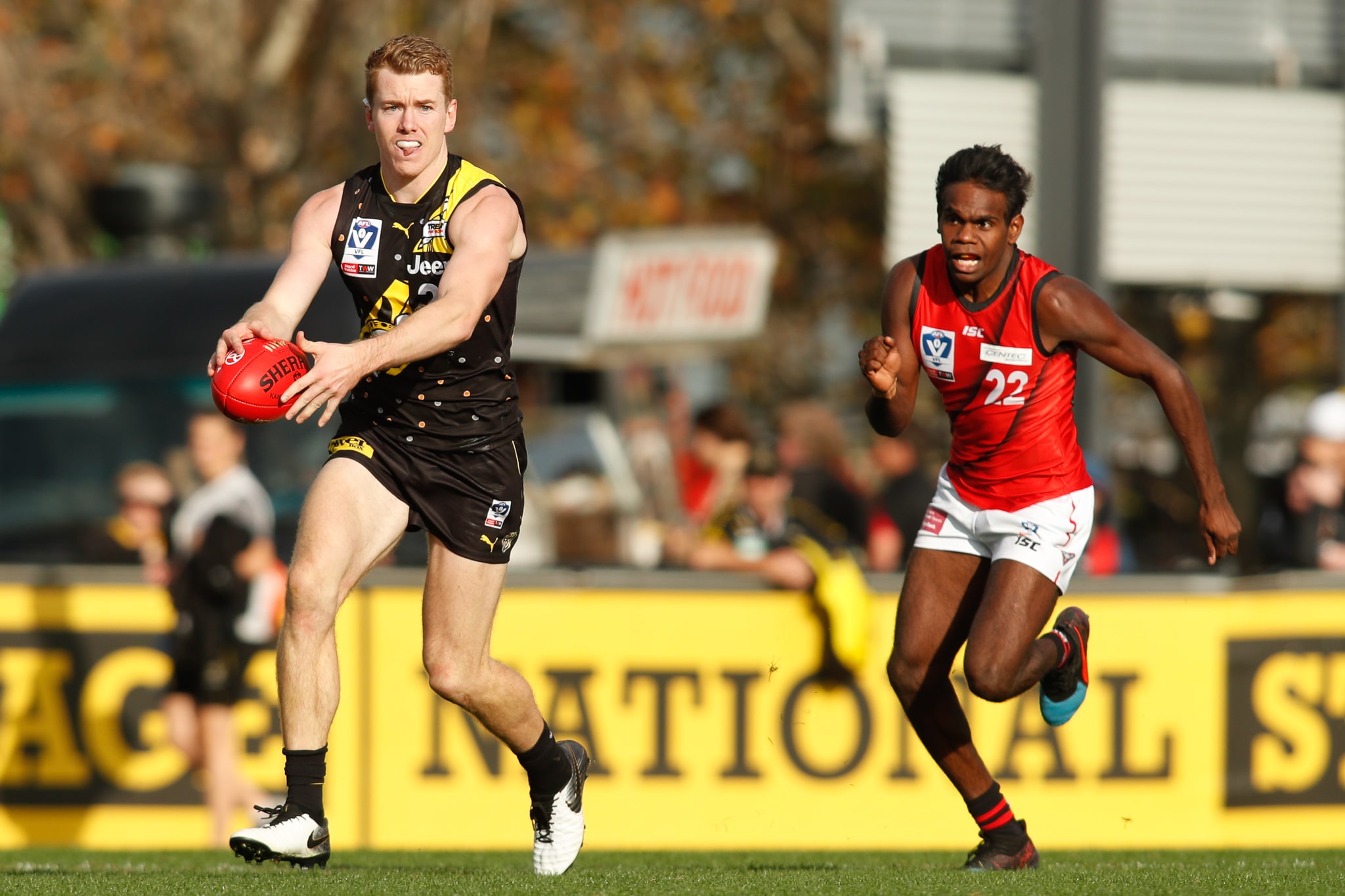 VFL Report: Round 8