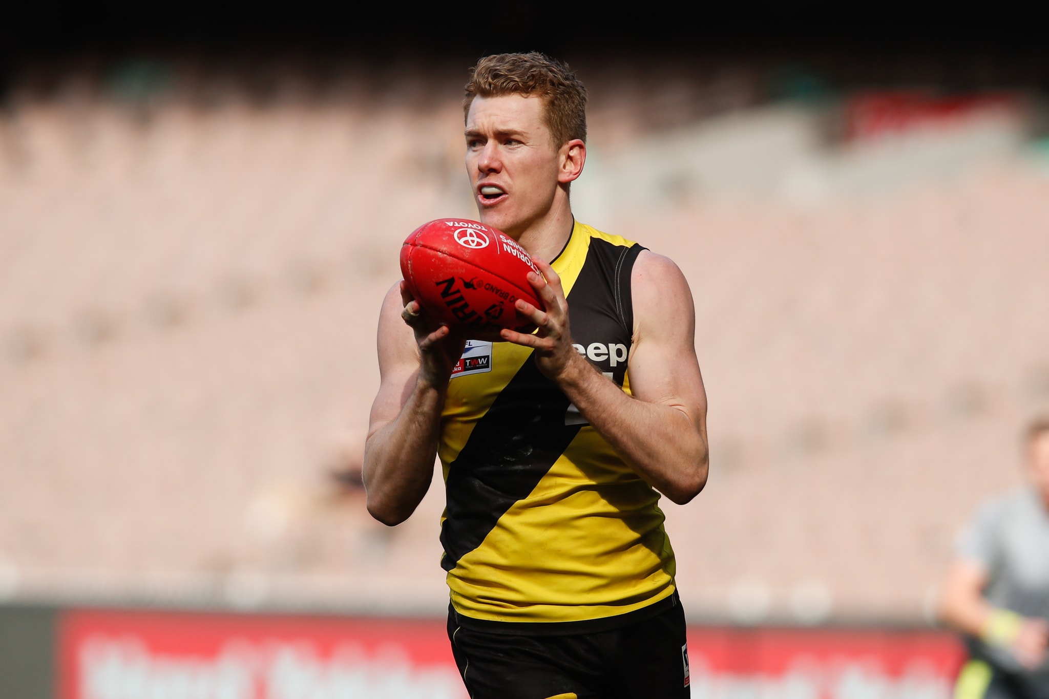 VFL Report: Round 19