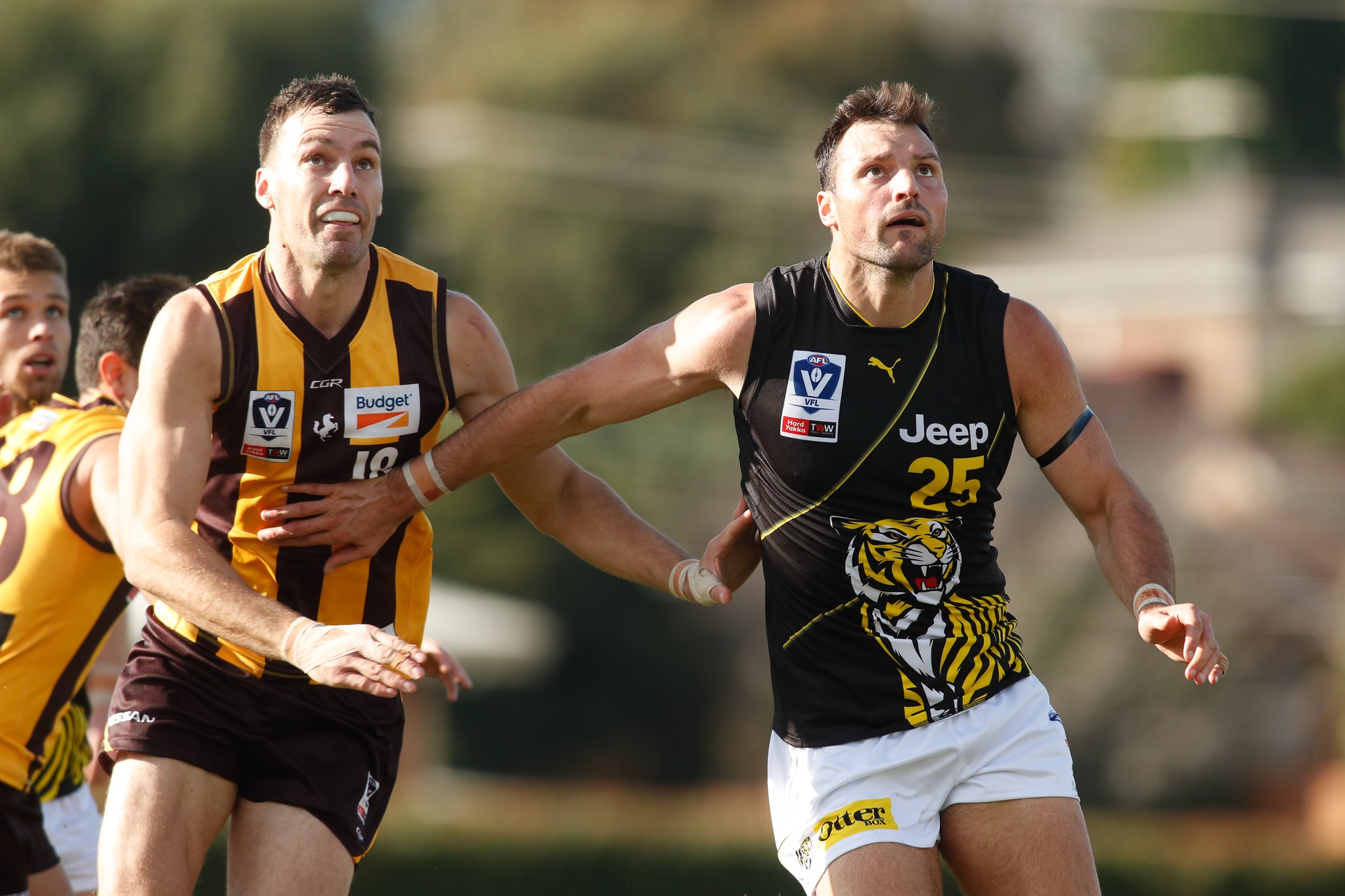 VFL Tigers fend off fast-finishing Hawks