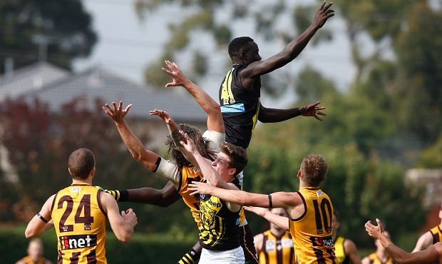 VFL Tigers fall short of ladder-leading Hawks