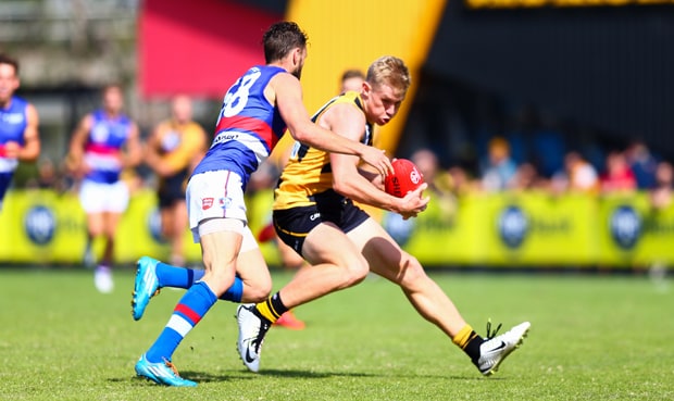 VFL Tigers shaded by Bulldogs