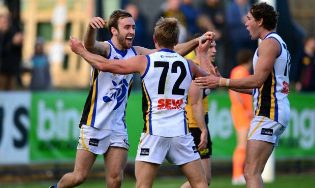 VFL: Sandringham silences Richmond's roar
